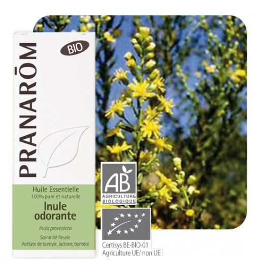Inula bio (Inula graveolens) eterično ulje Pranarom