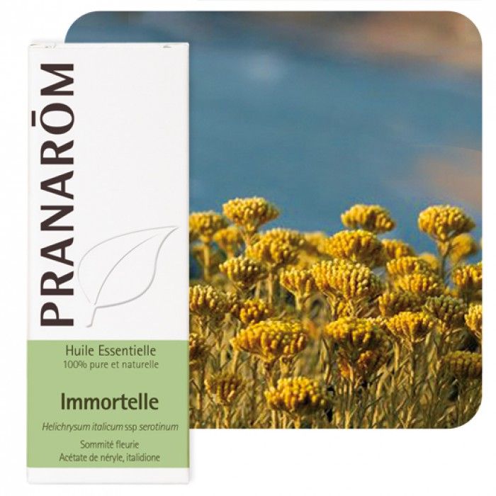 Smilje (Helichrysum italicum) - eterično ulje smilja Pranarom